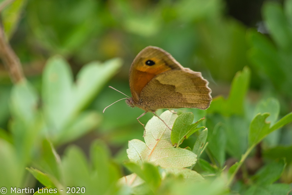 15 Most visited | Martin Lines - Photography Gallery